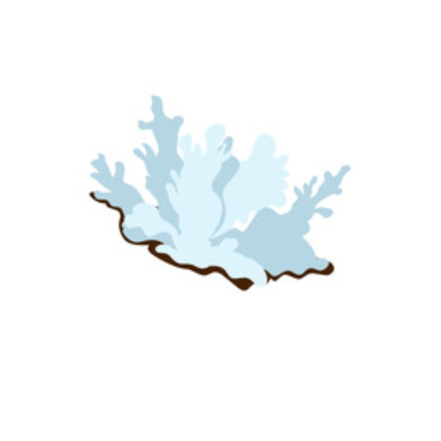 Tremella Fuciformis (Snow Mushroom) Extract: A Natural Source of Hyalu ...