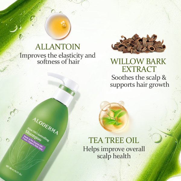 Aloe Oil Controlling Shampoo - ALODERMA